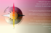Color Charts - Perma Blend