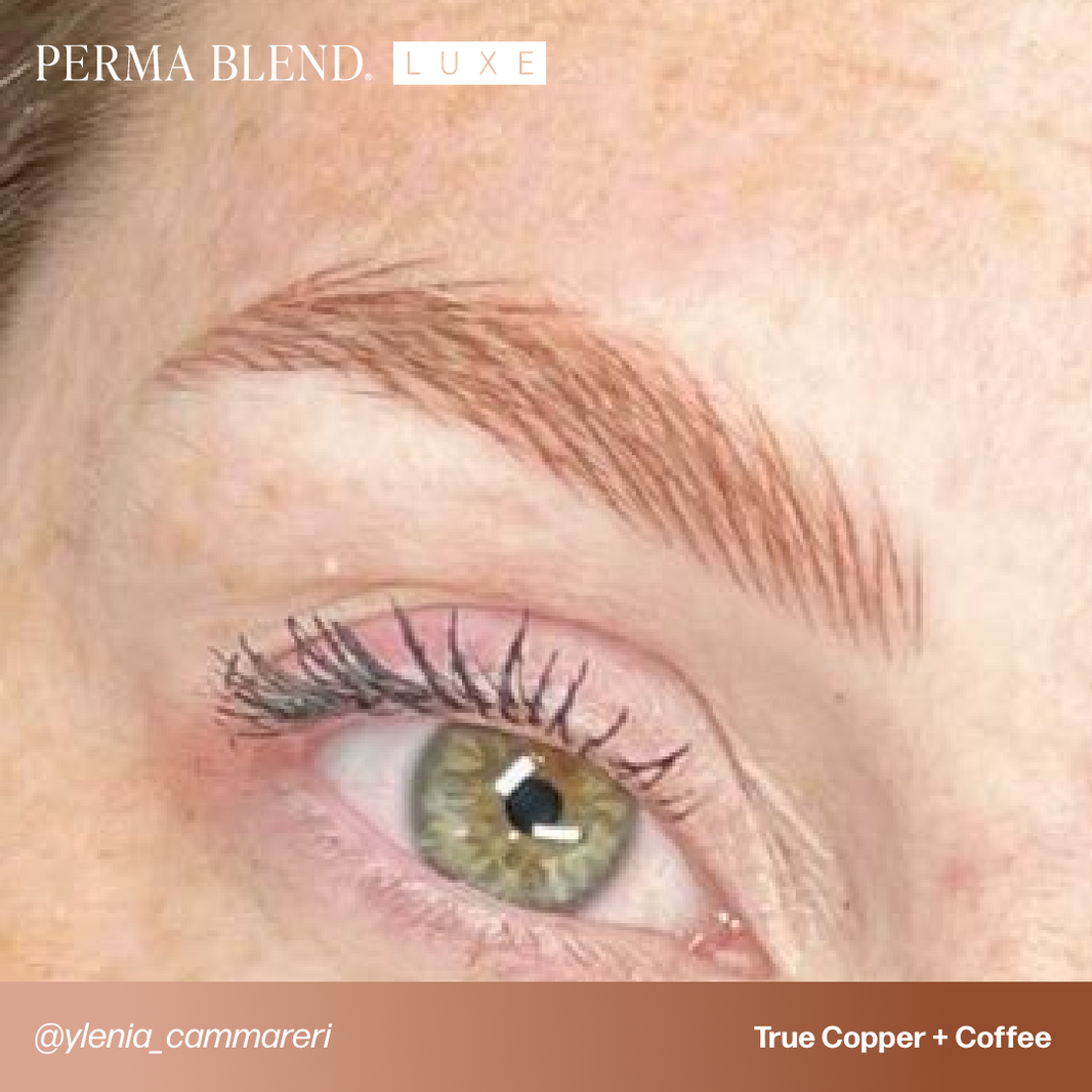 Eyebrow Pigments | PMU Pigments | Perma Blend - Perma Blend