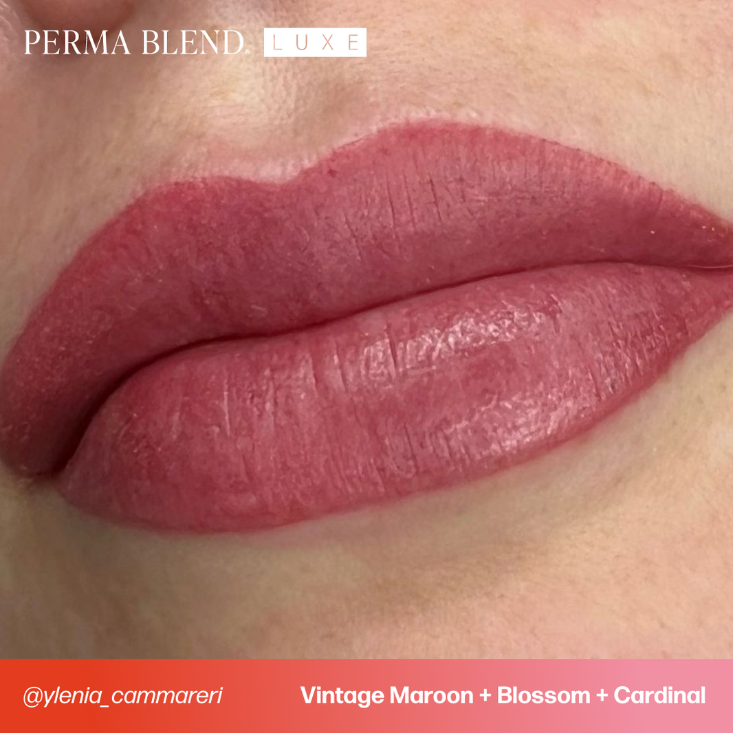 Special Offers | PMU Pigments | Perma Blend - Perma Blend
