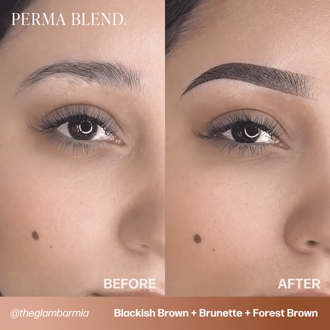 Eyebrow Pigments | PMU Pigments | Perma Blend - Perma Blend