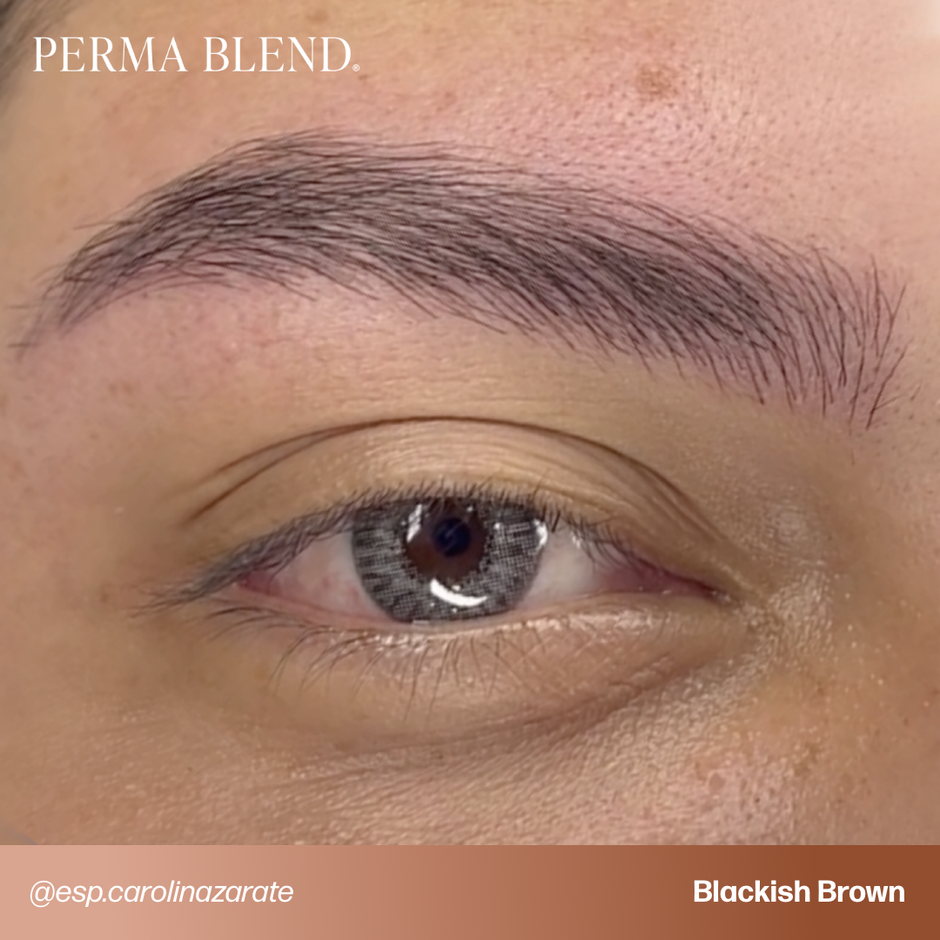 Eyebrow Pigments | PMU Pigments | Perma Blend - Perma Blend