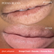Bazooka | Perma Blend Pigments - Perma Blend