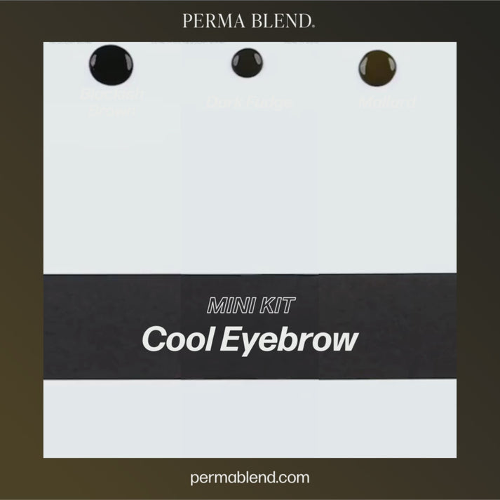 Cool Eyebrow Mini Set | Perma Blend Pigments - Perma Blend
